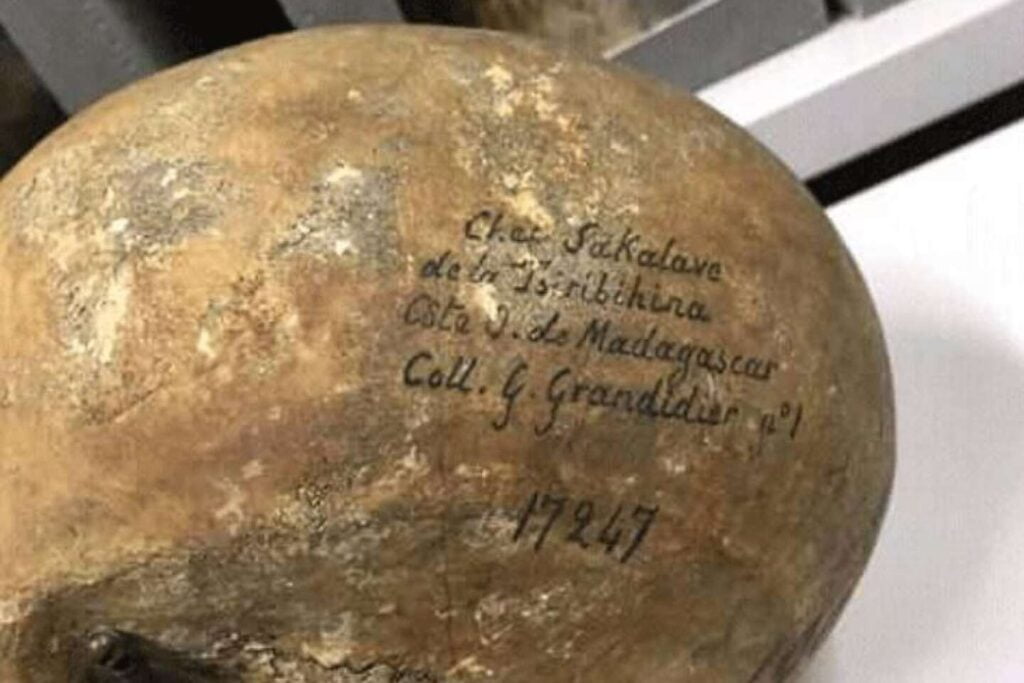 Restitution des restes humains : le sort du crâne d’un ancien roi ...