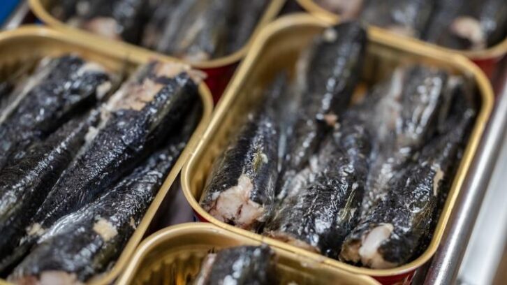 La sardine en boîte mise à mal par le changement climatique