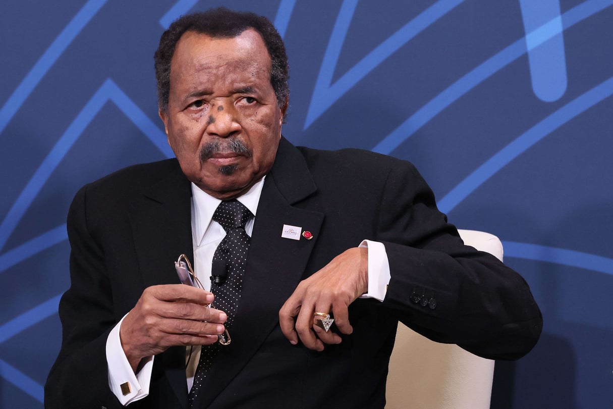 Présidentielle au Cameroun : le RDPC de Paul Biya à la reconquête de la ...